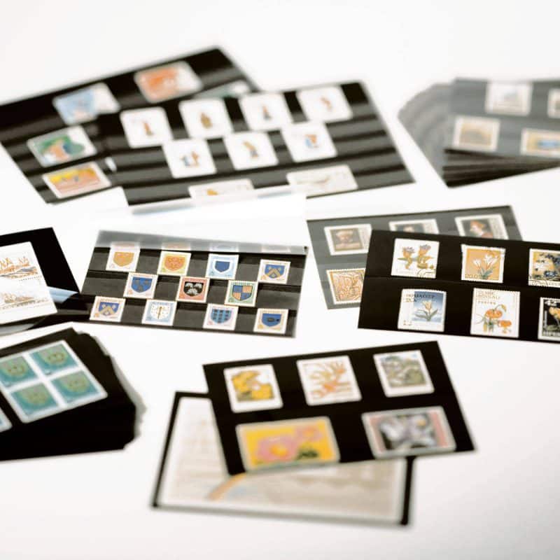 Standard cards PS 148x85mm, 2 clear strips with cover sheet, black card ...